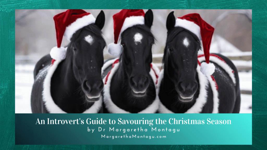 An Introvert's Guide to Savouring the Christmas Season - Dr Margaretha ...